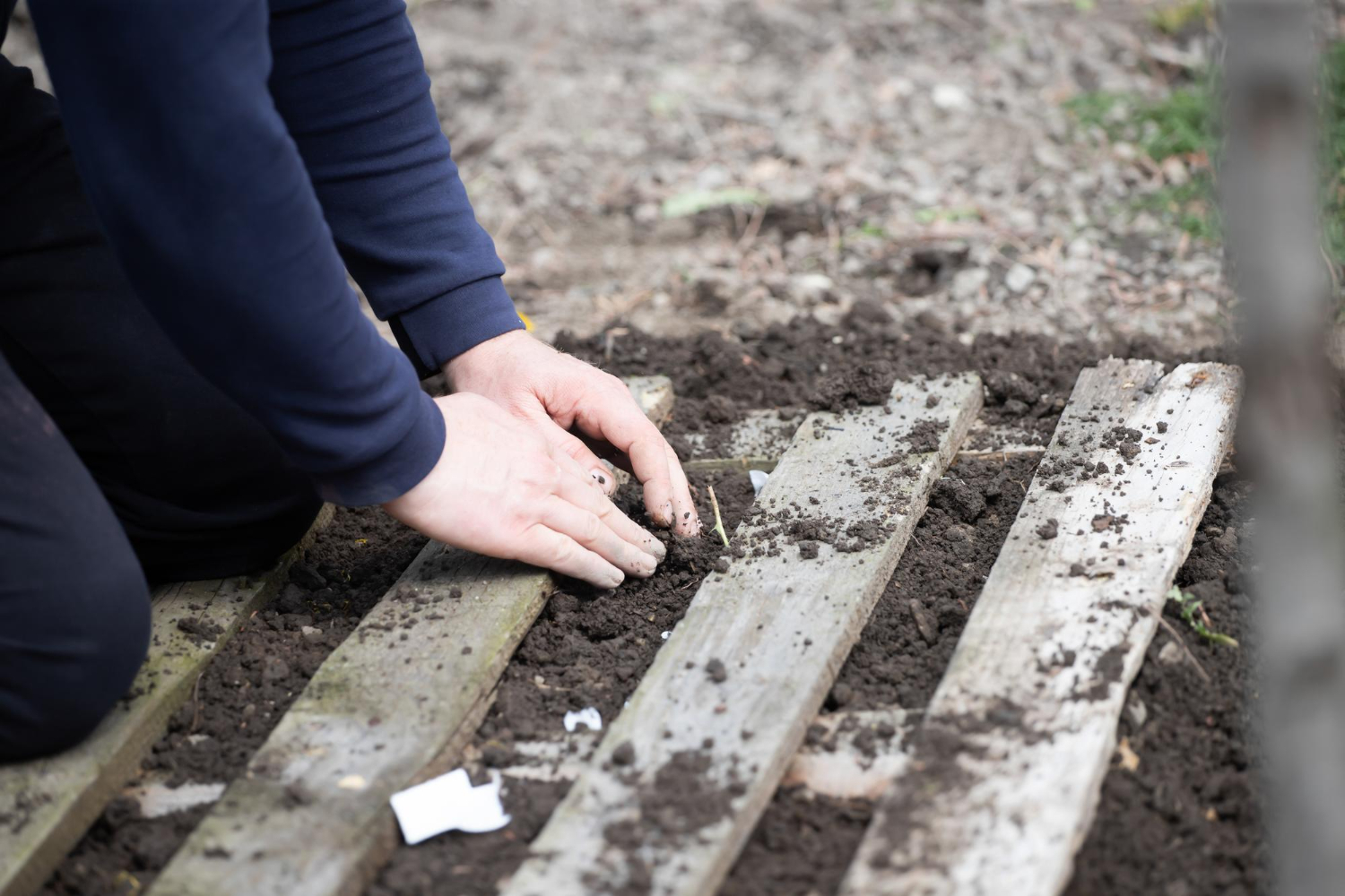 The Genizah Journey: Where Does Your Shaimos Go After You Drop It Off ...